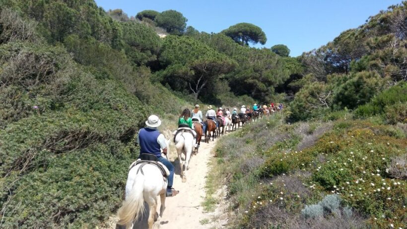 Horse-Riding Tour in Doñana National Park - FAQ