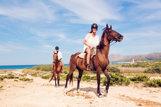 Horse Riding Tour in Marmaris - The Value of This Experience