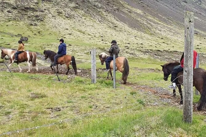 Horse Riding Tour in Reykjadalur (Smoky Valley)-All Riding Levels - Health and Safety Information