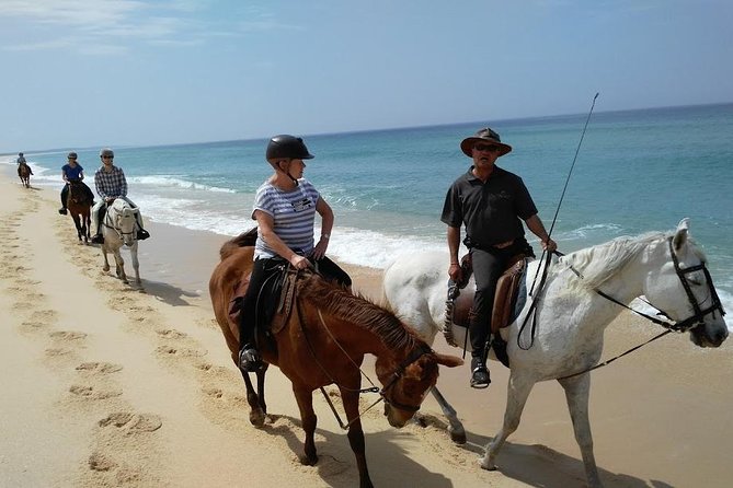 Horse Riding Tour on the Beach Lisbon region - An Overview of the Horse Riding Beach Tour