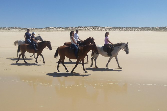 Horse Riding Tour on the Beach Lisbon region - Authentic Reviews from Past Participants