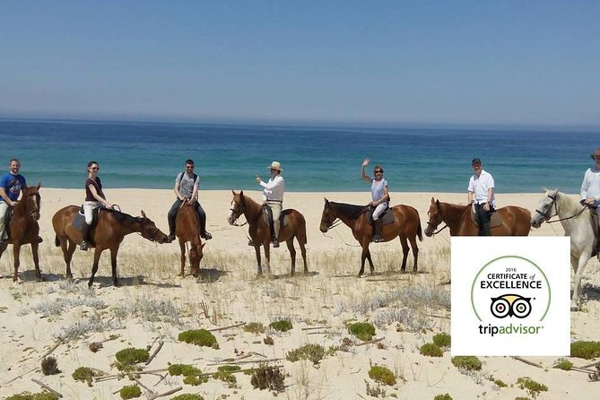 Horse Riding Tour on the Beach Lisbon region - FAQ