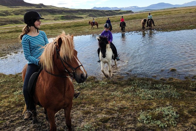 Horse Riding Tour to the Glacier River Delta With Waterfall - Location and Accessibility