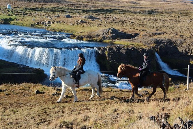 Horse Riding Tour to the Glacier River Delta With Waterfall - Traveler Feedback and Experiences