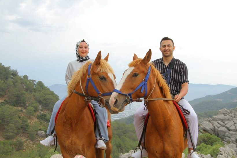 Horse Safari - The Sum Up