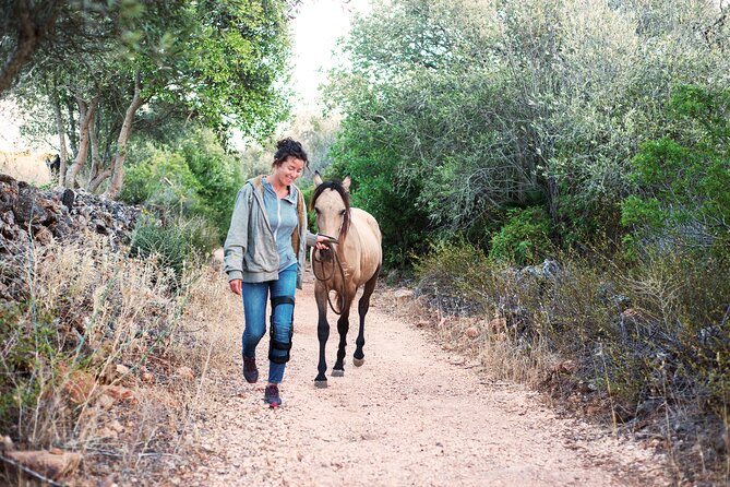 Horse Sanctuary: a Nature Walk With Rescued Horses by Your Side - What to Expect During the Activity