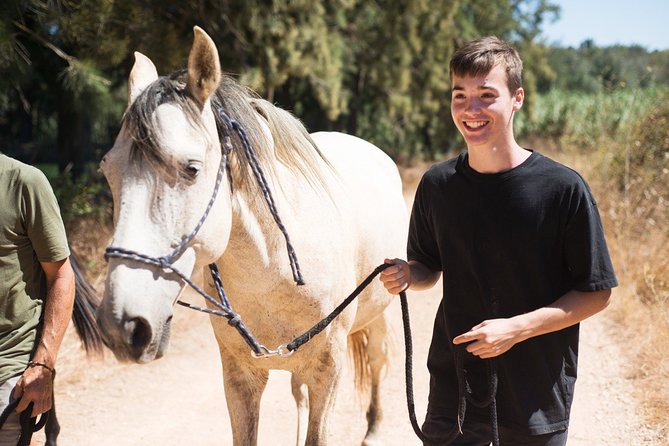 Horse Sanctuary: a Nature Walk With Rescued Horses by Your Side - Guiding the Experience