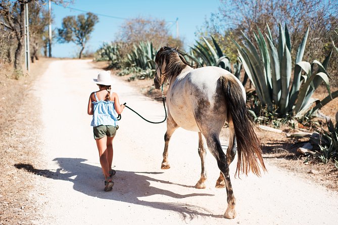 Horse Sanctuary: a Nature Walk With Rescued Horses by Your Side - Embracing the Sanctuarys Mission
