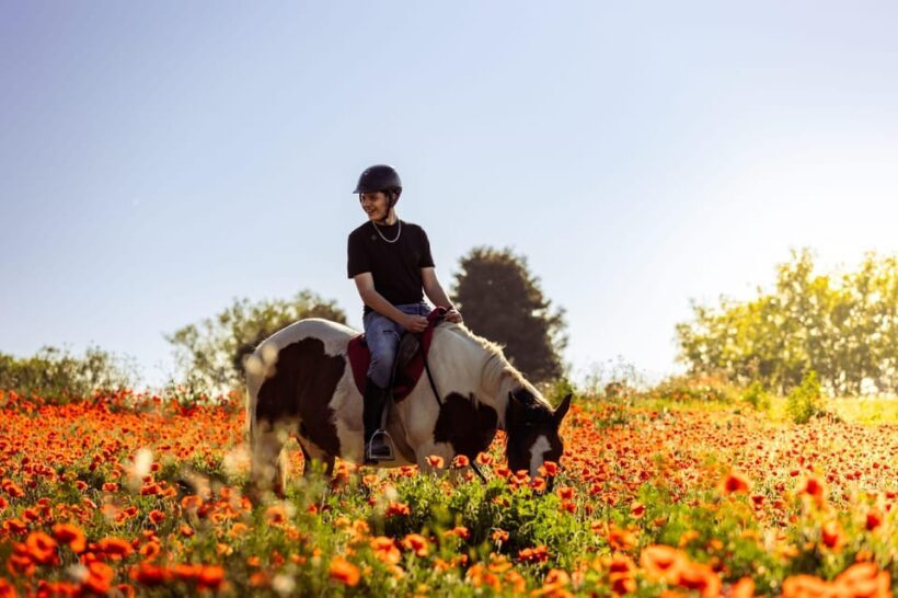 Horse Sanctuary in Rome - What to Expect During the Tour