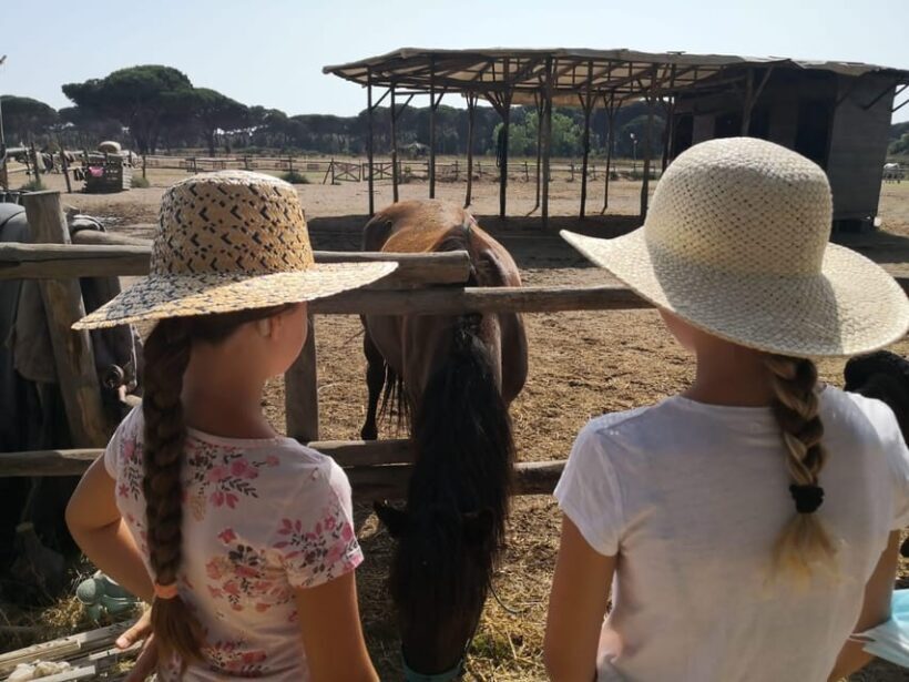Horse Sanctuary in Rome - Organization and Practicalities