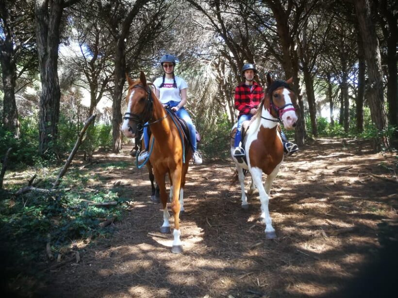 Horse Sanctuary in Rome - Who Will Love This Tour?