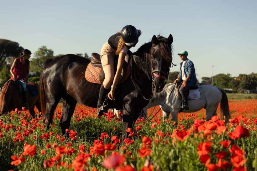 Horse Sanctuary in Rome - Final Thoughts: Is This Experience Worth It?