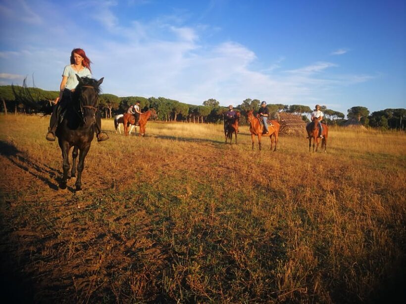 Horse Sanctuary in Rome - FAQ