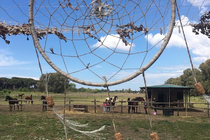 Horse Sanctuary & Trail Ride - The Sum Up