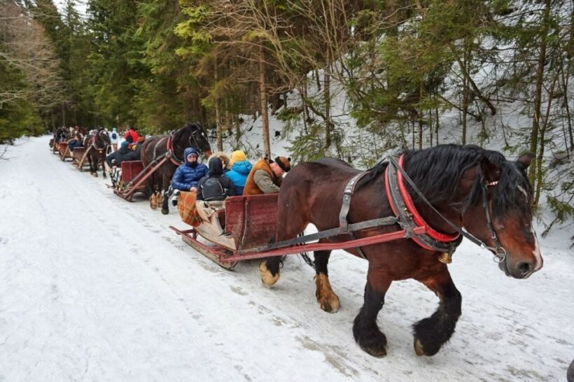 Horse Sleigh 2-3h Ride with Hot Springs or Zakopane Combos - Key Points