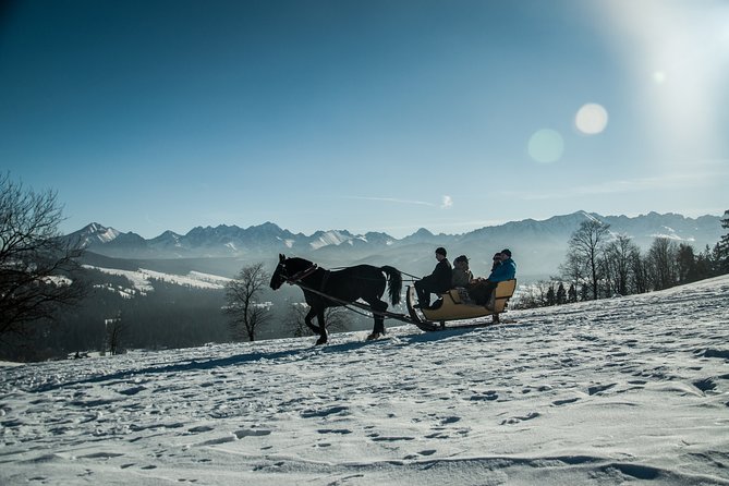Horse Sleigh Ride in the Polish Countryside, private tour from Krakow - Who Will Love This Tour?