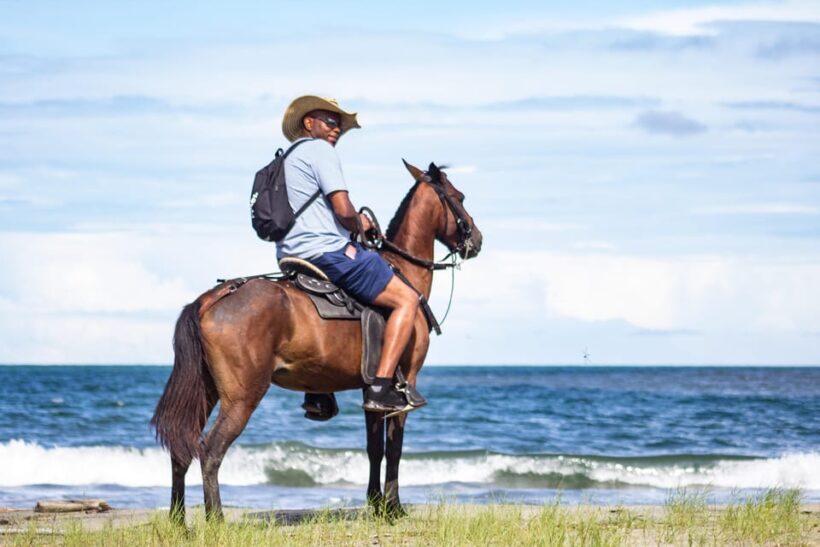 HORSE TOUR IN CARTAGENA BEACH - Who Will Love This Tour?