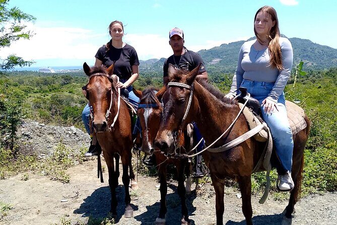 Horse Tours on the Beach and Mountains in Puerto Plata - Authenticity and Traveler Feedback