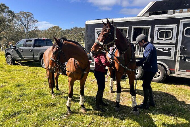 Horse Trail Ride and Wine Tasting at Adelaide Hills Winery - Final Thoughts: Is It Worth It?