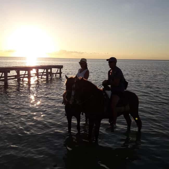 Horseback Adventure in Holbox - What to Expect from the Horseback Adventure in Holbox