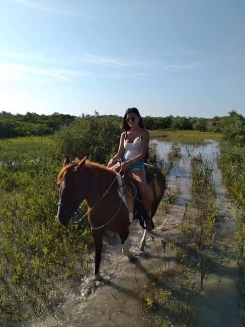 Horseback Adventure in Holbox - The Itinerary: From Mangroves to Shoreline