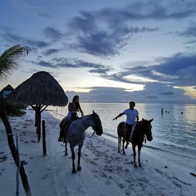 Horseback Adventure in Holbox - The Value of This Experience