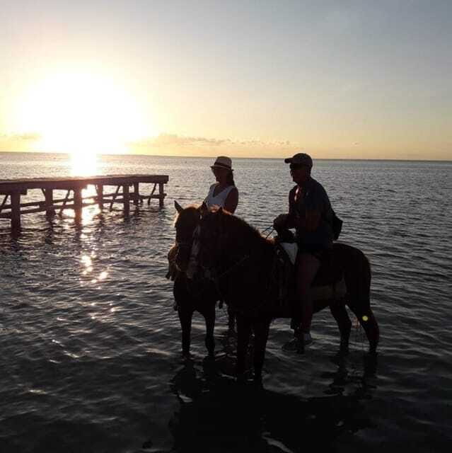 Horseback Adventure in Holbox - Who Should Consider This Tour?