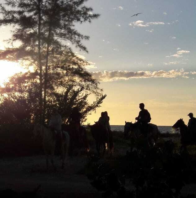 Horseback Adventure in Holbox - Final Thoughts: Is It Worth It?