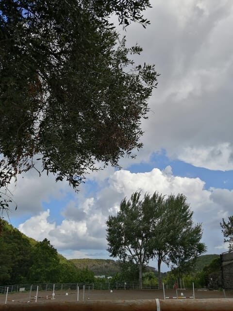 Horseback excursion in the Maddalena woods - FAQs
