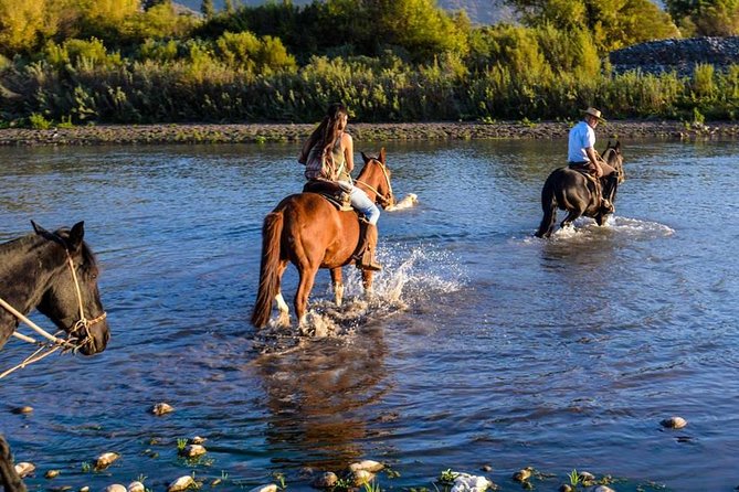 Horseback Private Wine Tour and Country Grill From Santiago - Inclusions and Additional Info