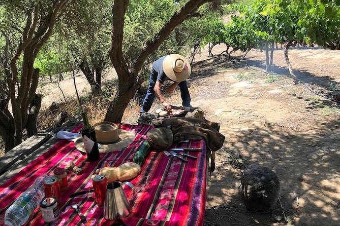 Horseback Private Wine Tour and Country Grill From Santiago - Authentic Chilean Barbecue Lunch and Wine Tasting