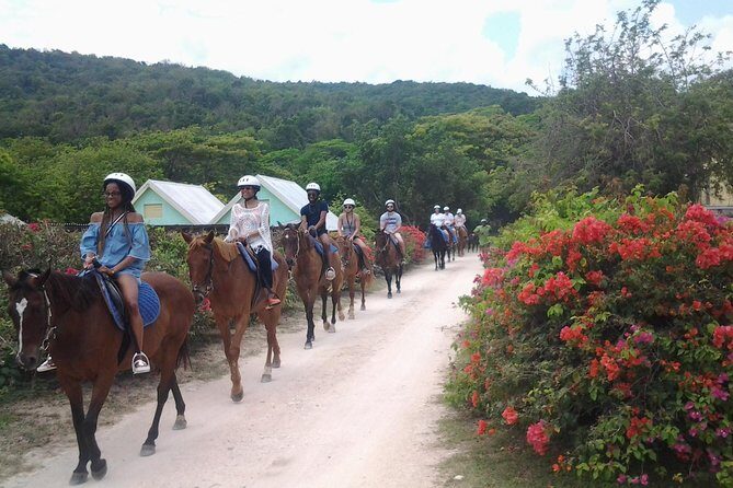 Horseback Ride Adventure from Ocho Rios - Introduction