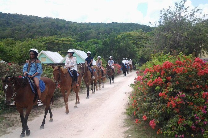 Horseback Ride Adventure from Ocho Rios - Key Points