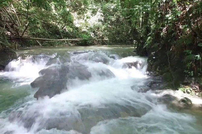 Horseback Ride and Mayfield Falls combo from Negril - The Sum Up
