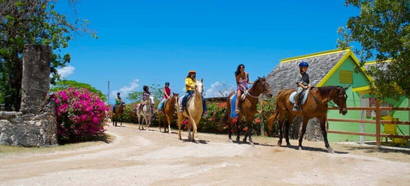 Horseback Ride and Swim Excursion - Authentic Experiences and Reviews