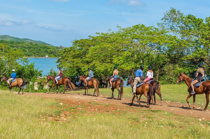 Horseback Ride and Swim from Ocho Rios - The Practical Side: Transportation, Duration, and Cost