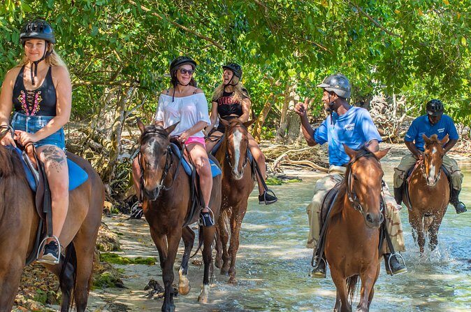 Horseback Ride and Swim from Ocho Rios - Who Might Want to Consider Other Options?