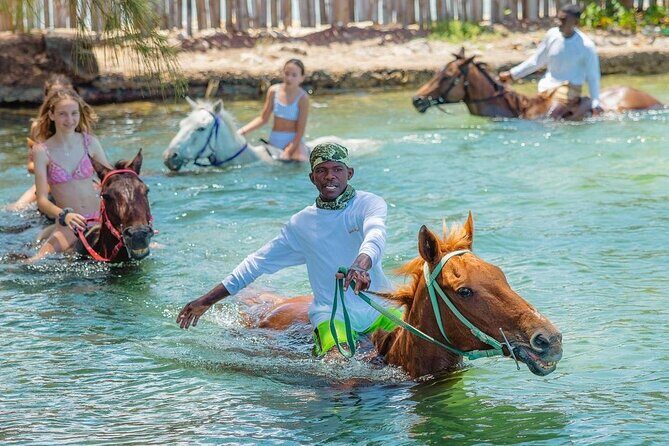 Horseback Ride and Swim Jamaica - An Overview of the Experience