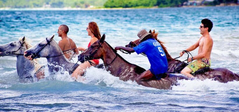 Horseback Ride and Swim Ocho Rios: Jam West Hanover - Who Should Consider This Tour?