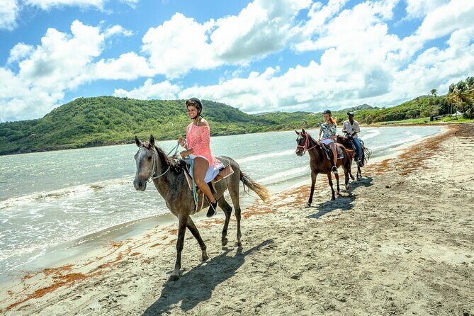 Horseback Ride and Swim Private Tour from Montego Bay - The Sum Up