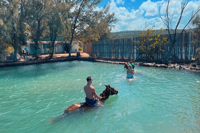 Horseback Ride and Swim Private Tour In Montego Bay - Authentic Experiences and Authentic Guides