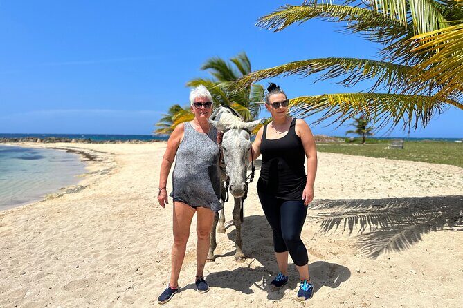 Horseback Ride and Swim Private Tour In Montego Bay - Practical Tips for Travelers
