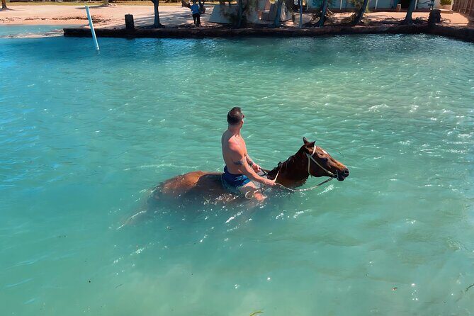 Horseback Ride and Swim Private Tour In Montego Bay - The Sum Up: Who Should Consider This Tour?
