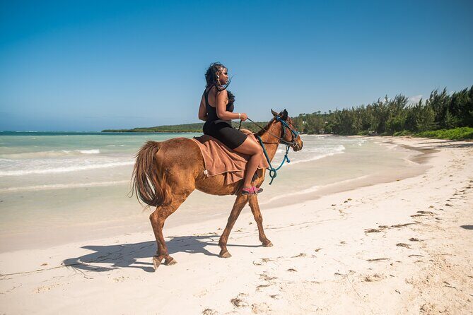 Horseback Ride and Swim Tour In Montego Bay - Key Points