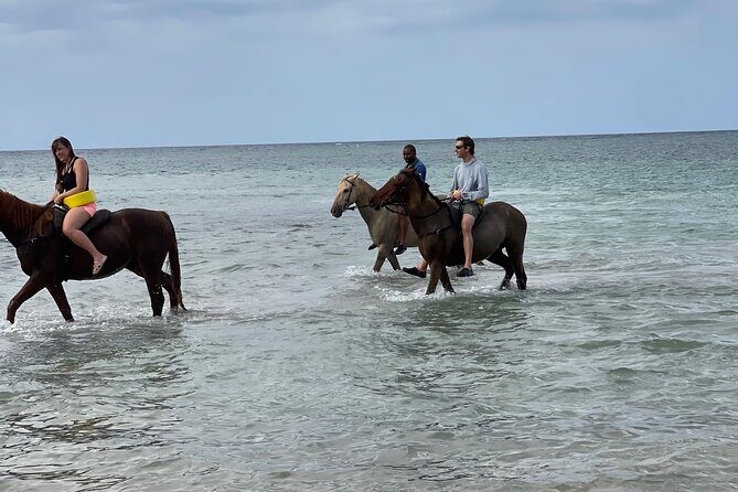 Horseback Ride from Ocho Rios - The Itinerary: What to Expect from Start to Finish