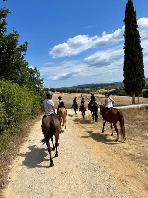 Horseback Ride in Tuscany with Lunch in da Vincis Land - Key Points