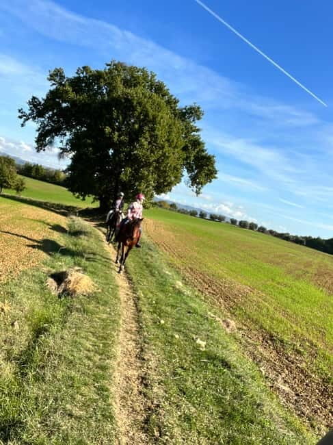 Horseback Ride in Tuscany with Lunch in da Vincis Land - What’s Included and What You Should Know