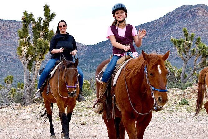 Horseback Ride Joshua Tree Forest Buffalo Lunch Singing Cowboy - The Sum Up: Who Is This Tour Best For?