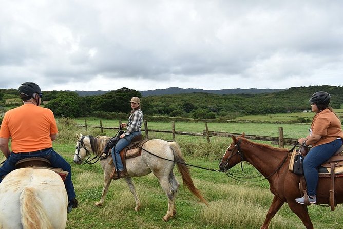 Horseback Ride Like an Authentic Paniolo in Kahuku - What Makes the Experience Stand Out