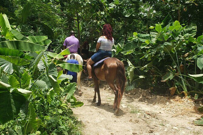 Horseback 'Ride N Swim' & Dunns River Falls from Montego Bay - Key Points